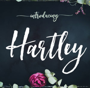 Hartley Brush Lettering Calligraphy Font