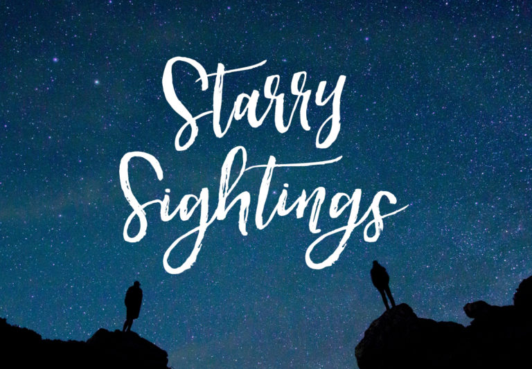 Hartley Brush Lettering Calligraphy Font